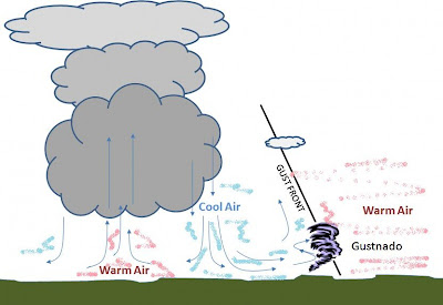 Natureza em fúria: Gustnados: O que são?